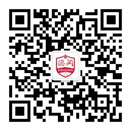 DEHONG SHANGHAI - International Chinese School